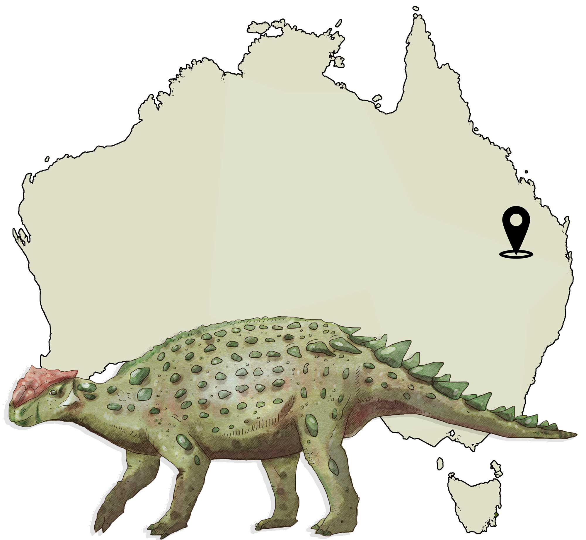 Australian Age of Dinosaurs | Minmi paravertebra