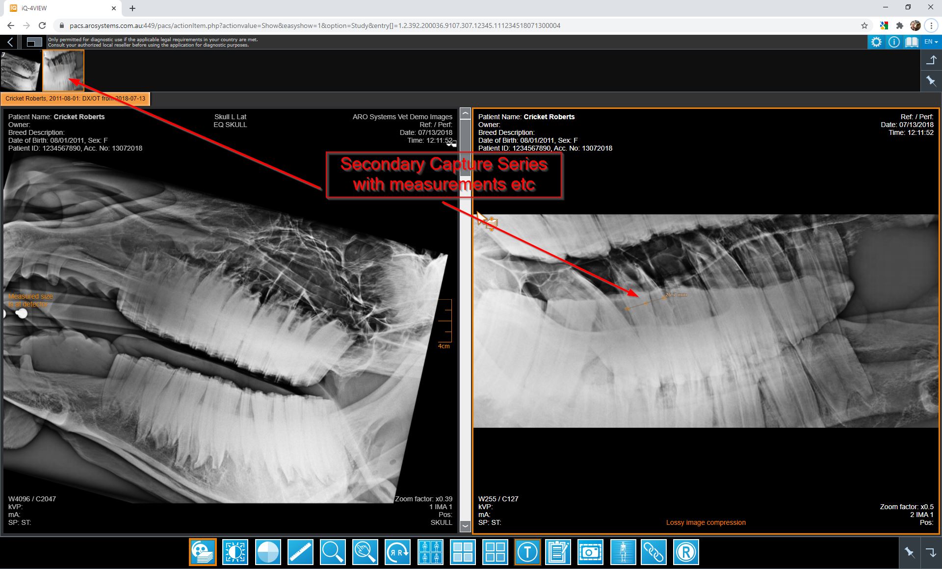 ARO Systems PACS Cloud Service | Secure & Scalable Medical Imaging ...