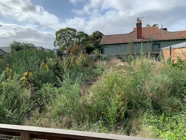 SHOW US YOUR GREAT AUSSIE LAWN WINNER: Cam and Georgia