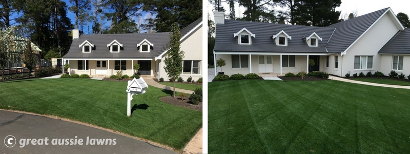 Small Biz Spotlight - Southern Lawns