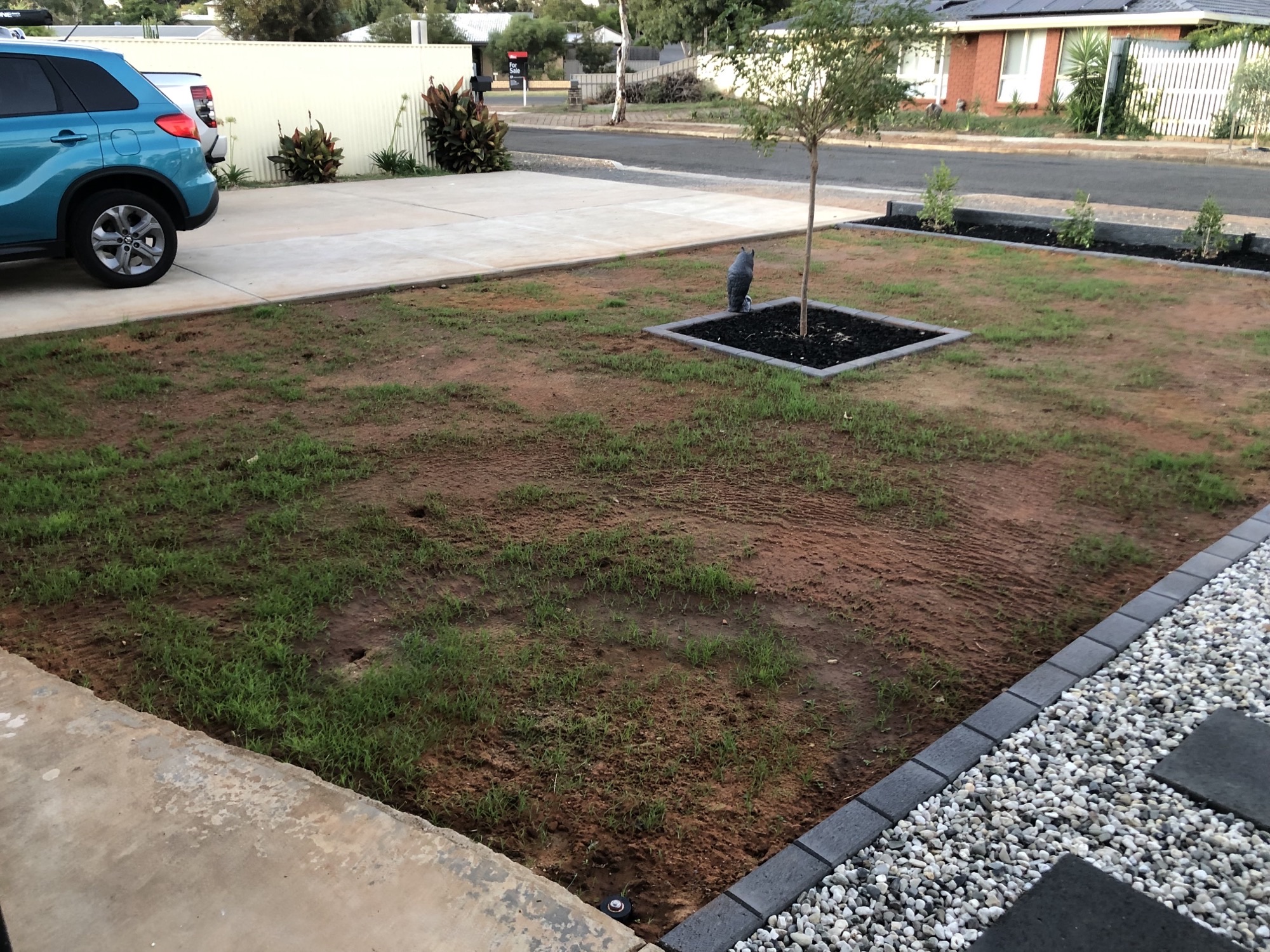 SHOW US YOUR GREAT AUSSIE LAWNS WINNER: Jayden