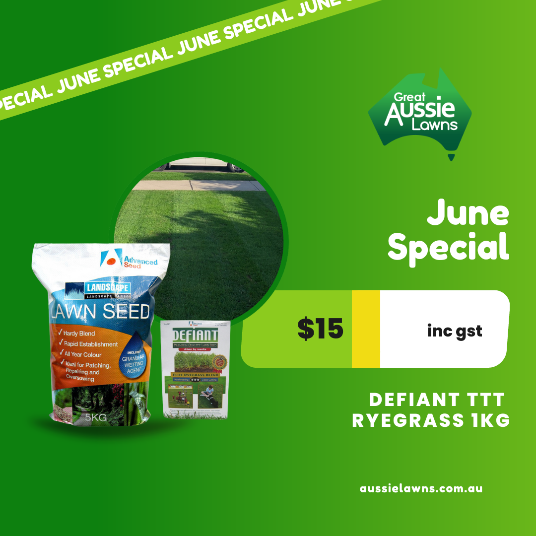 GREAT AUSSIE LAWNS - JUNE 2023 SPECIALS