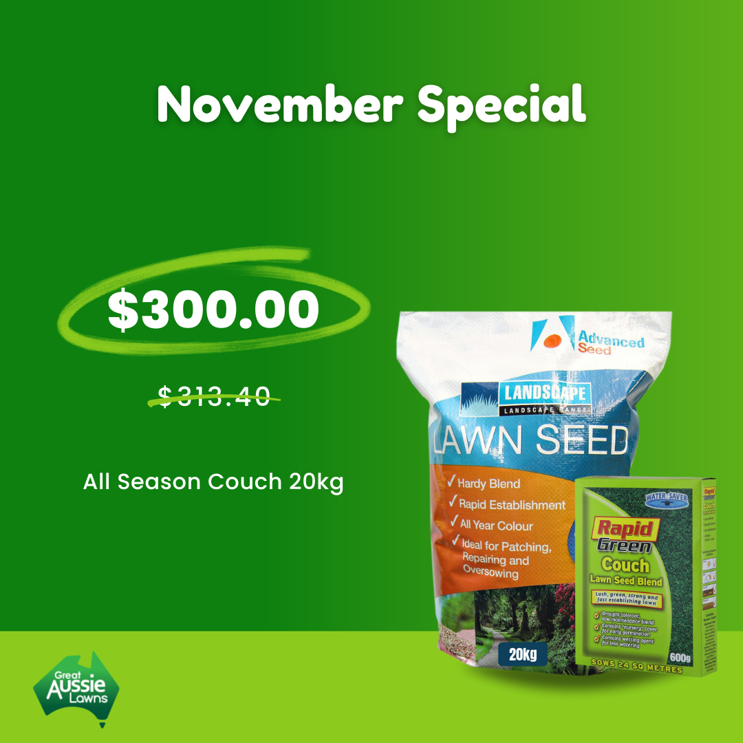 Great Aussie Lawns November 2022 Specials