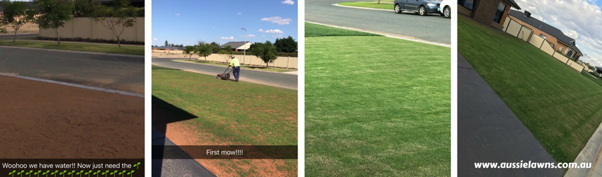 Great Aussie Lawns May Lawn Competition - and the winner is...