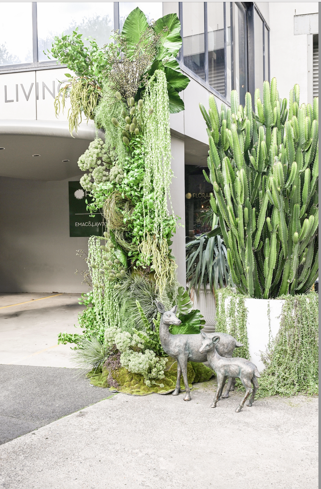 Twin Flora X Florabelle Living