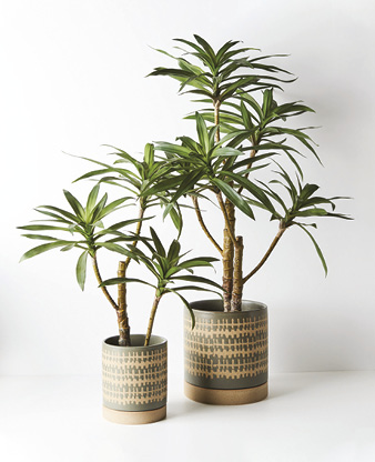 Floral Interiors - Beautiful diverse range of artificial flowers ...