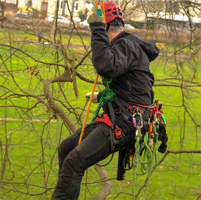 DMM Kinisi Max Harness