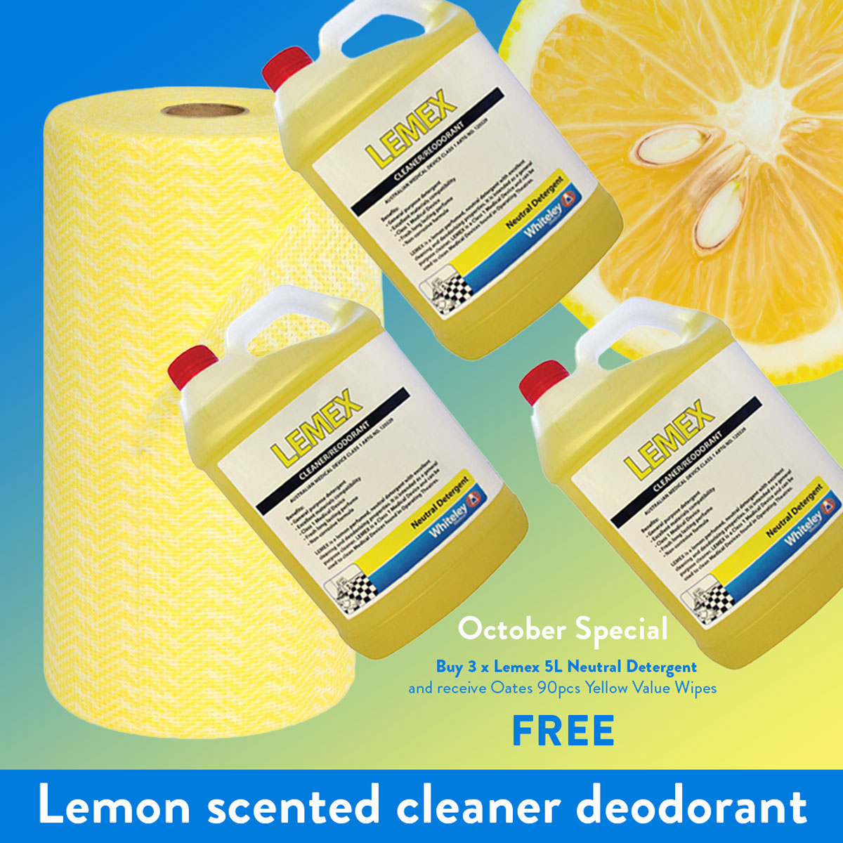 Rapid Clean Newcastle